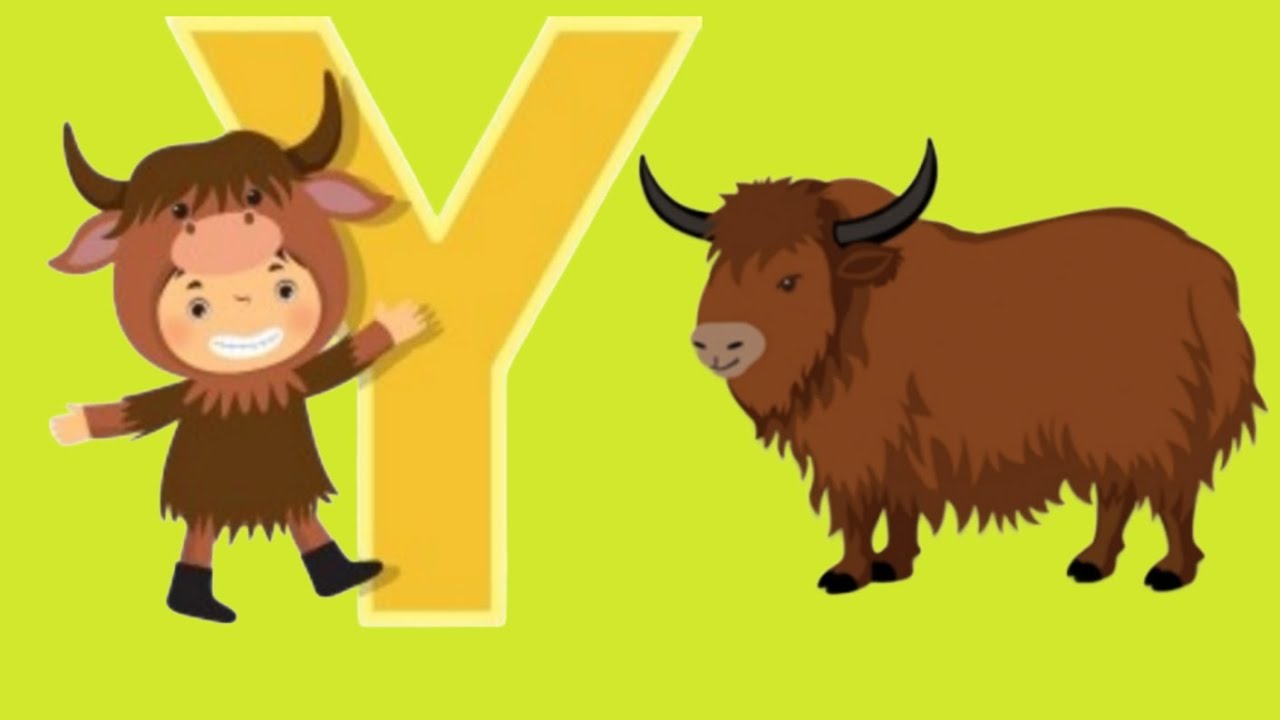 The Letter Y Song - Learn the Alphabet - YouTube