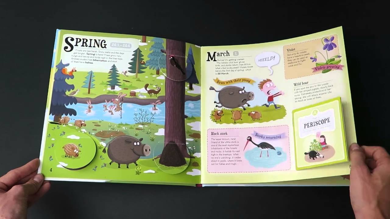 A Year in the Woods - YouTube