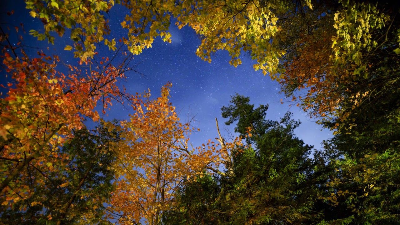 Timelapse of Fall Foliage and the Night Sky - YouTube