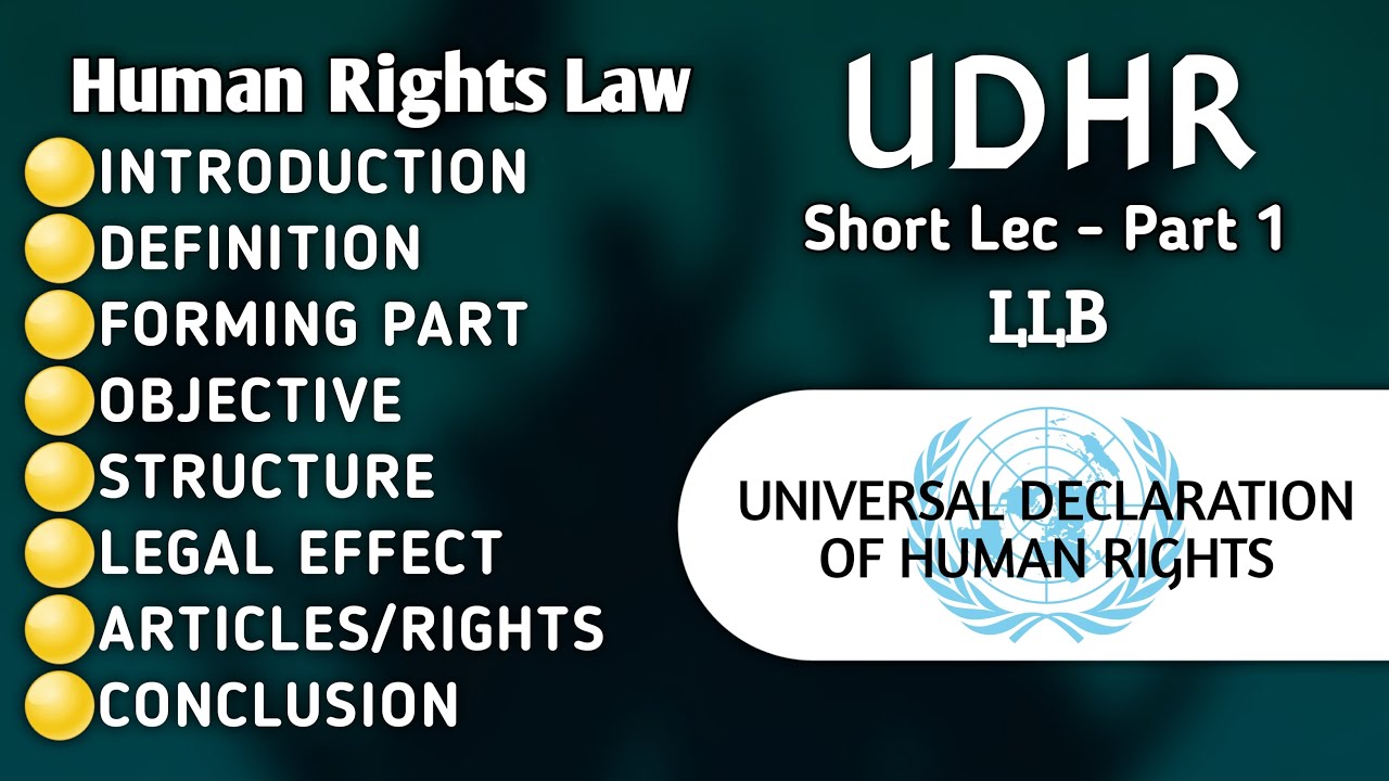 UDHR - Universal Declaration of Human Rights Explained Humna rights Law ...