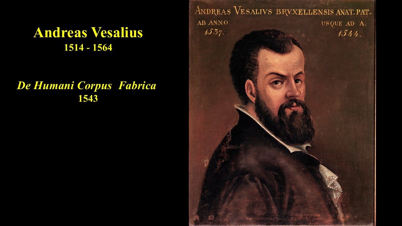 Pioneers of Science: Andreas Vesalius- The Father of Anatomy - YouTube