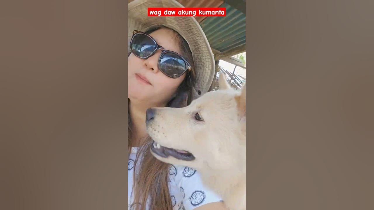 #doglover #cute #pets #funny gustong gusto nya ng mag miming kahit tanghaling tapat - YouTube