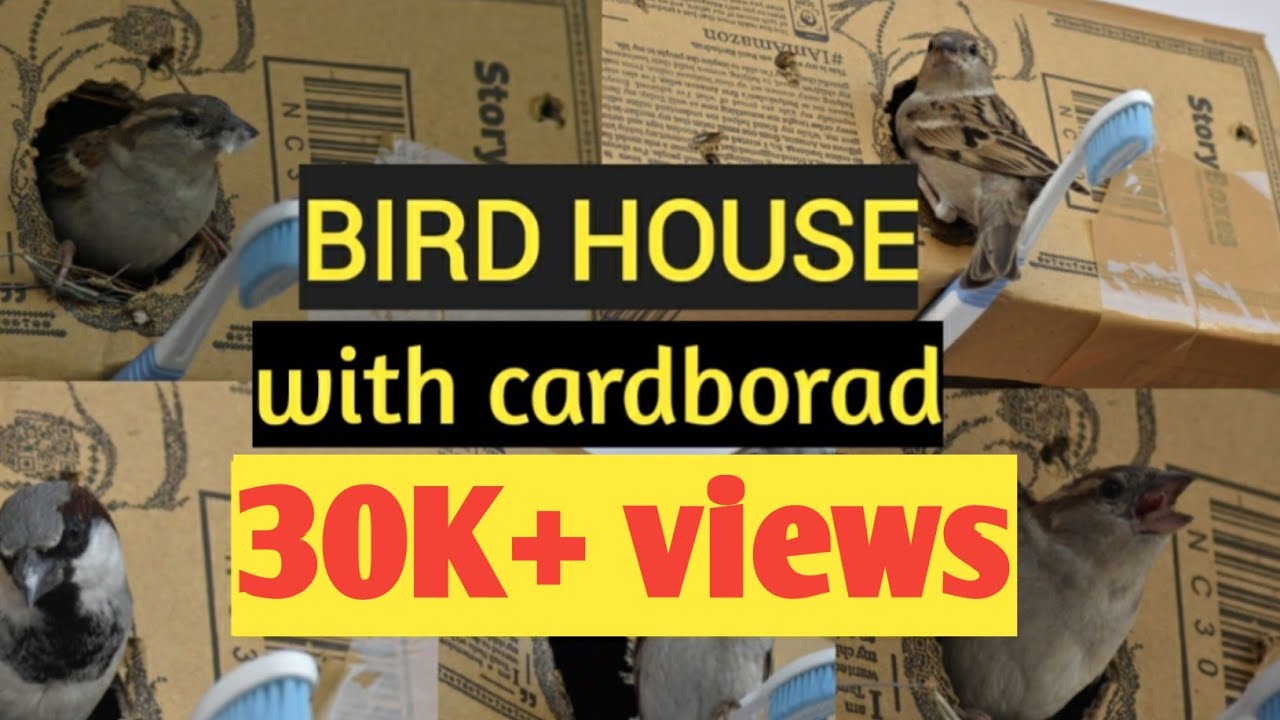How To Make A Bird House Bird House With Cardboard Box Bird House how-to-make-a-bird-house-bird-house-with-cardboard-box-bird-house