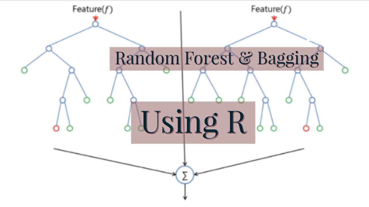 How To Do Random Forest And Bagging Machine Learning Algorithm Using R