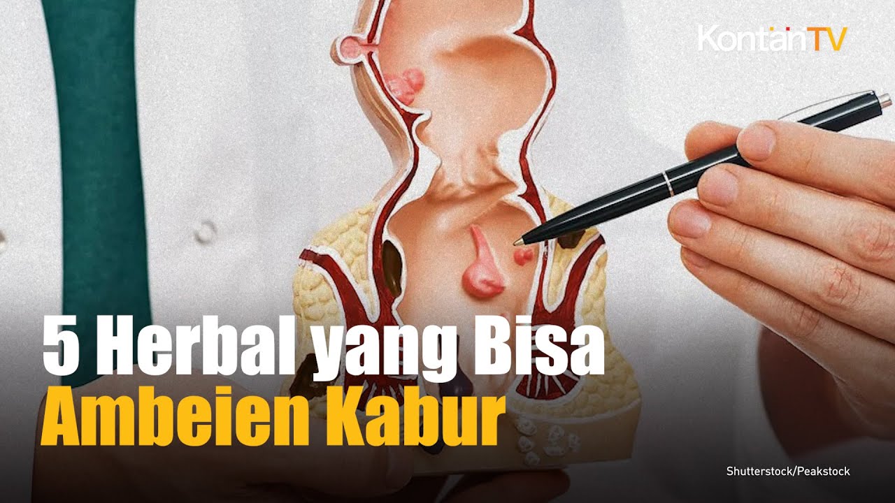 5 Herbal yang Bisa Ambeien Kabur, Tak Perlu Obat Kimia - YouTube