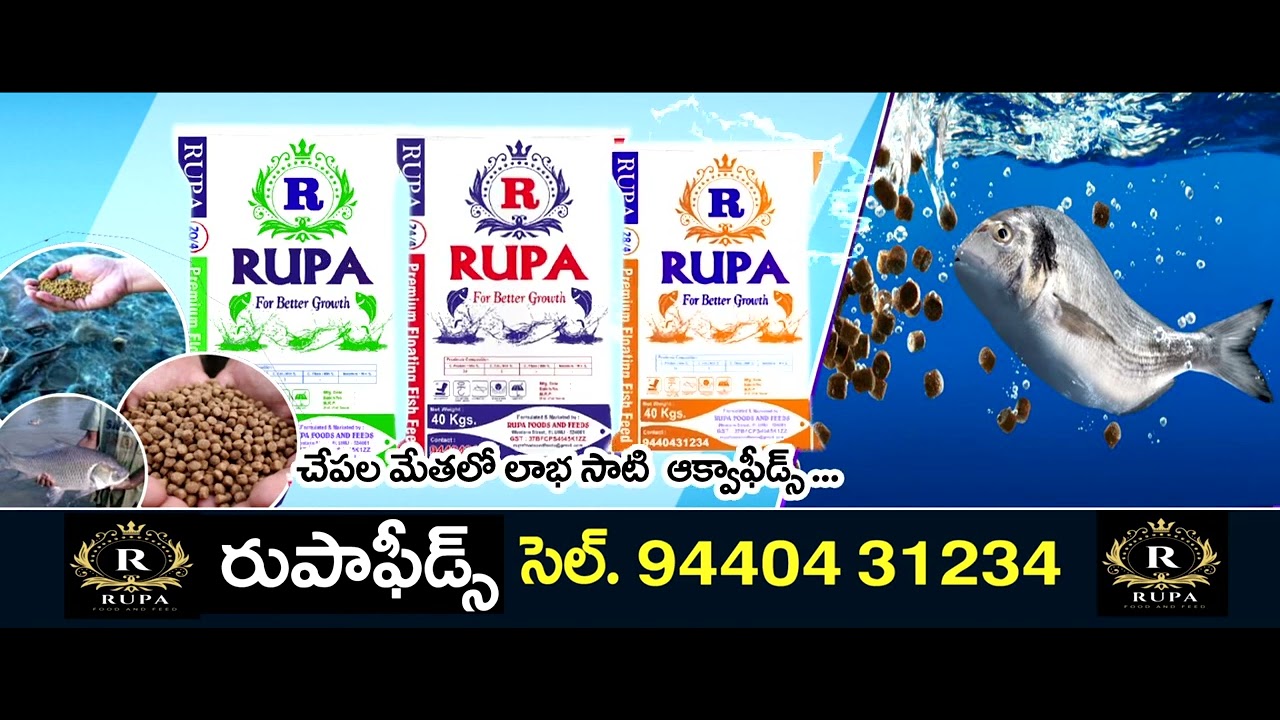 RUPA FEEDS IS BEST FEED FOR BEST GROWTH ,FLOATING FEEDS 20/4, 24/4, 28/ ...