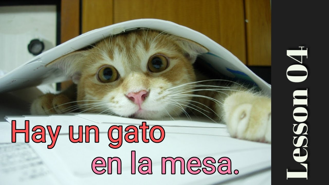 How To Use hay In Spanish In Less Than 3 Minutes There Is There how-to-use-hay-in-spanish-in-less-than-3-minutes-there-is-there