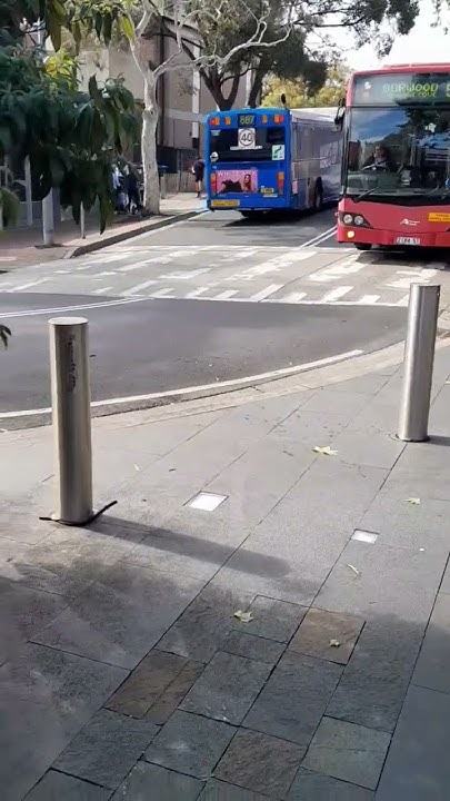 687 school bus and 530 bus - YouTube