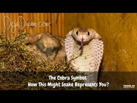10 Spiritual Meanings of Cobra and Its Symbolism - What Spiritual