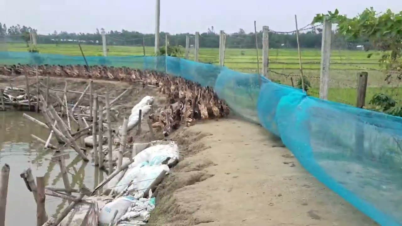 Khamar bari 2 - YouTube