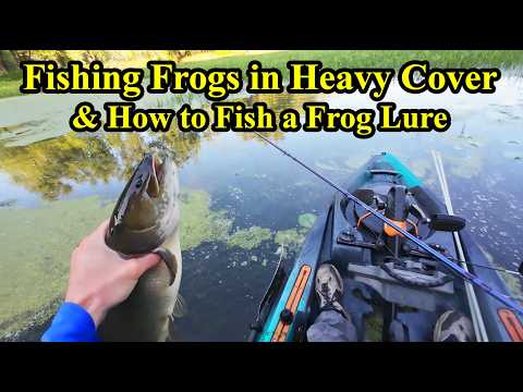 Fishing Frog Lures for Bass Pike Bowfin and How to Fish a Frog Bait