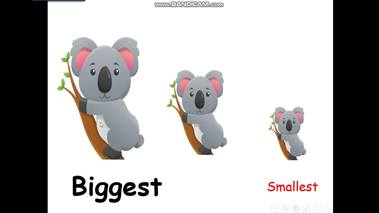 Measurements// Big and small// Math kg3 - YouTube