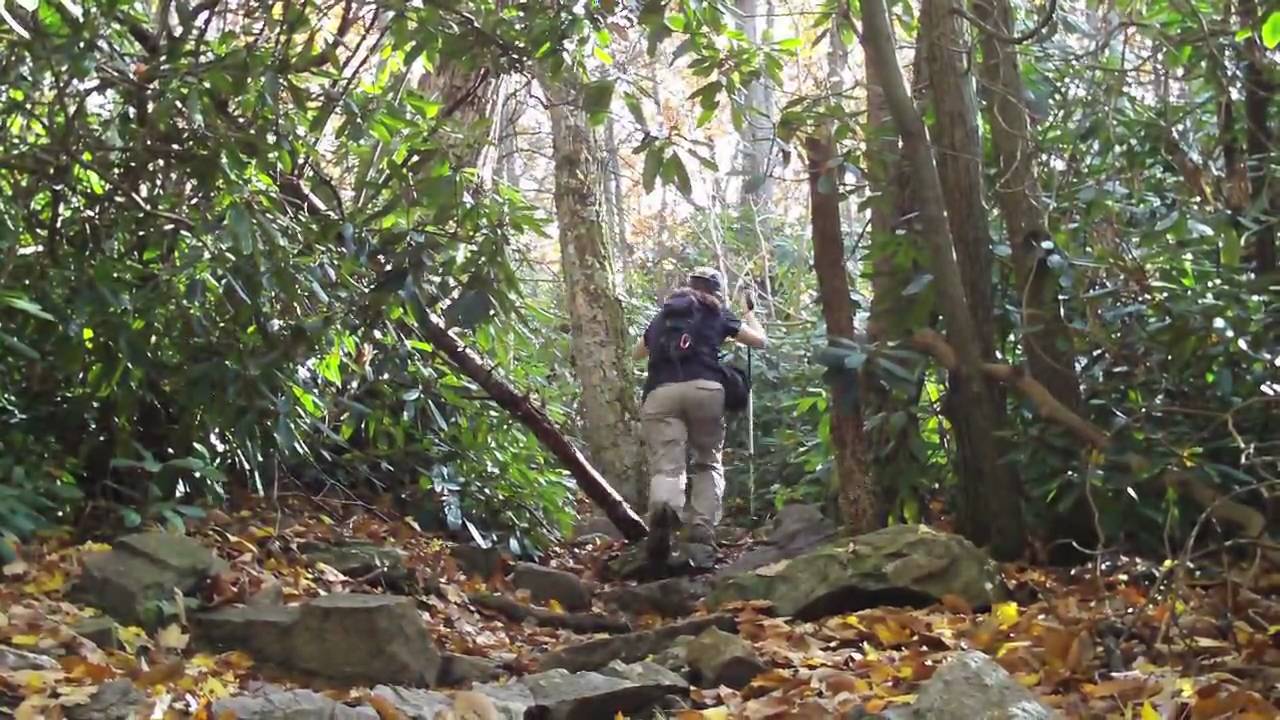 Mt. Minsi, Delaware Water Gap, PA - njhiking.com - YouTube