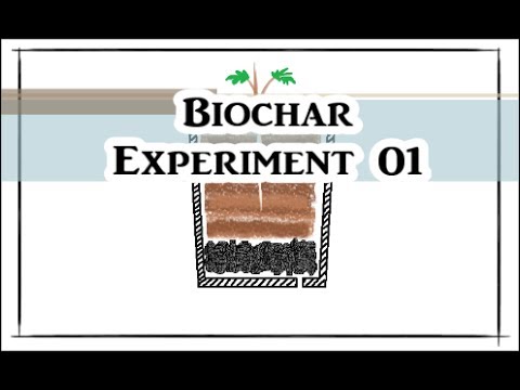 Biochar Experiment 01 - YouTube