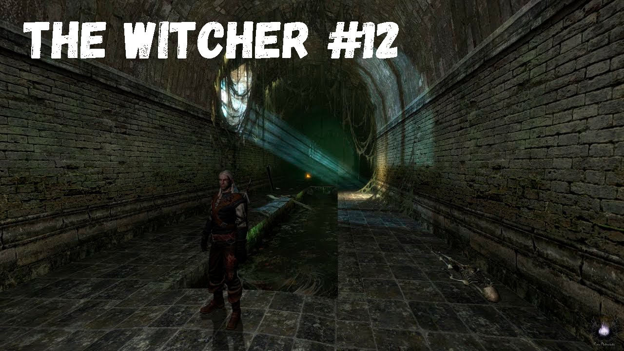 КАНАЛИЗАЦИИ ВЫЗИМЫ! (Прохождение The Witcher #12) - YouTube
