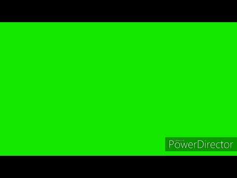 Timon and Pumbaa Interrupt 3.5 Green Screen