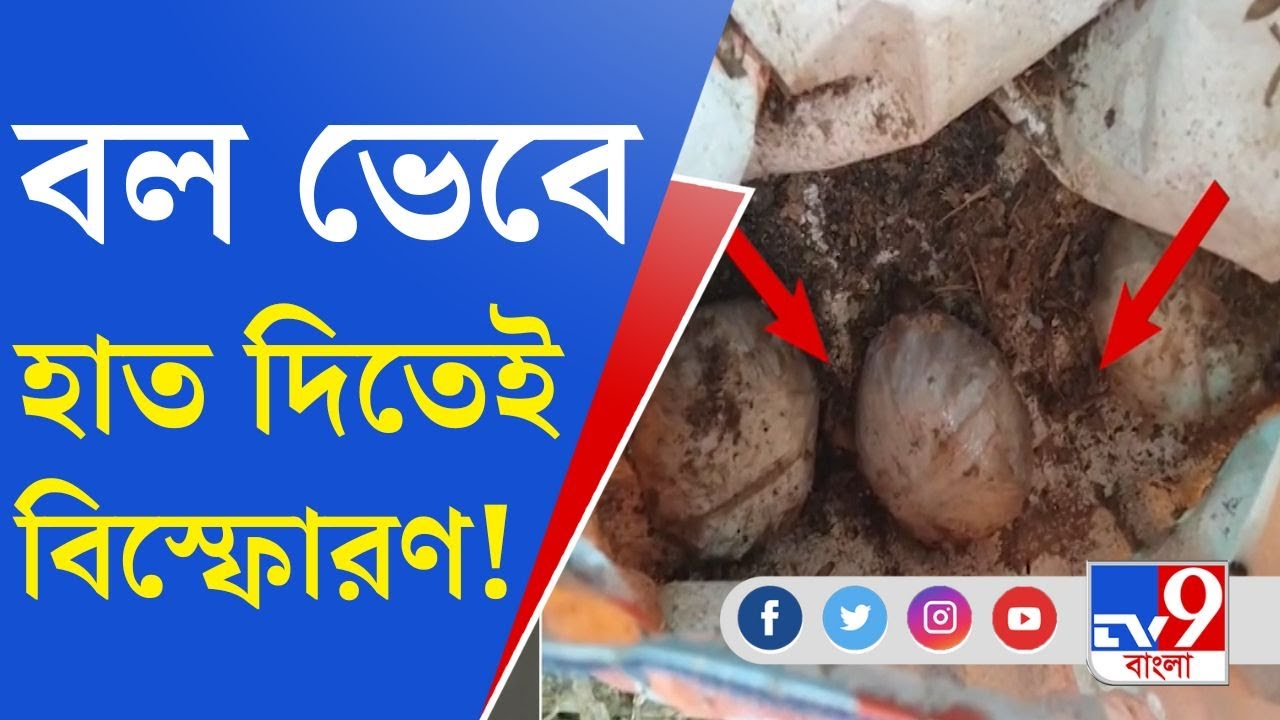 Deganga Bomb Blast: দেগঙ্গায় রক্তাক্ত শৈশব, ফের বল ভেবে খেলতে গিয়ে উড়ল কিশোরের হাতের আঙুল ...