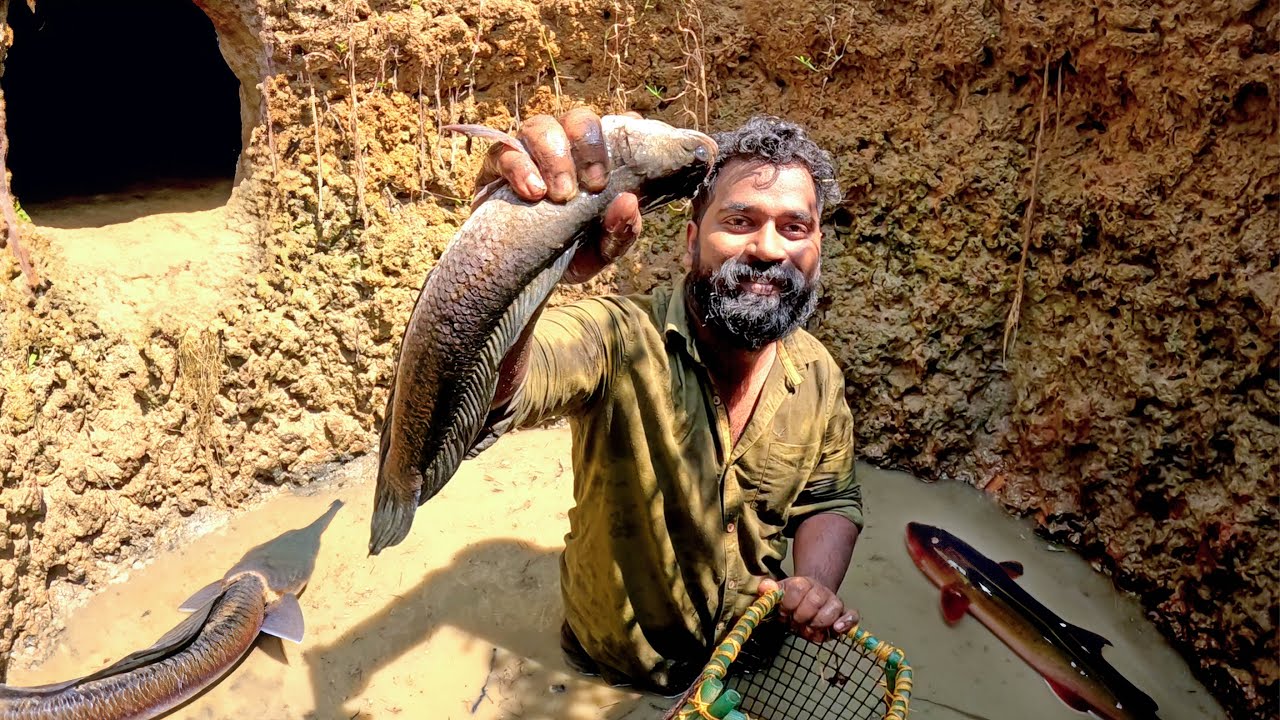 Fishing From The Hole | കുഴിയിൽ നിന്നും മീൻപിടിച്ചപ്പോൾ | M4 Tech ...