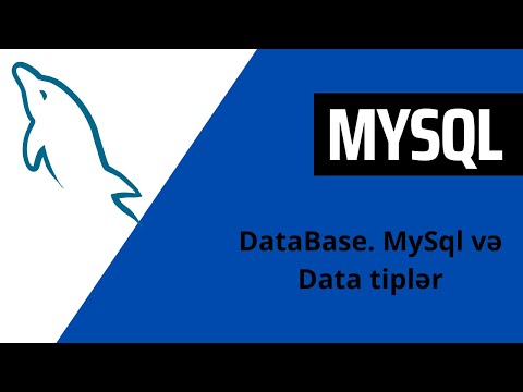 DataBase nədir? MySql və Data tiplər