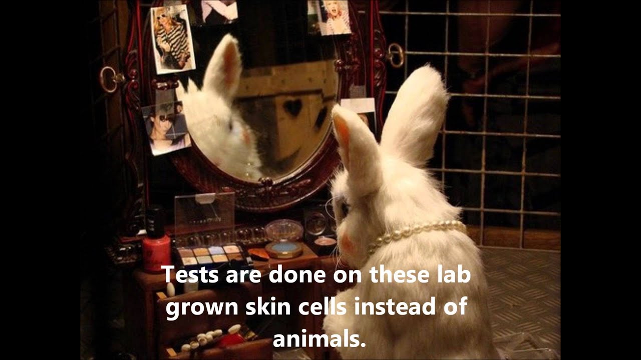 Replace Animal Testing - YouTube