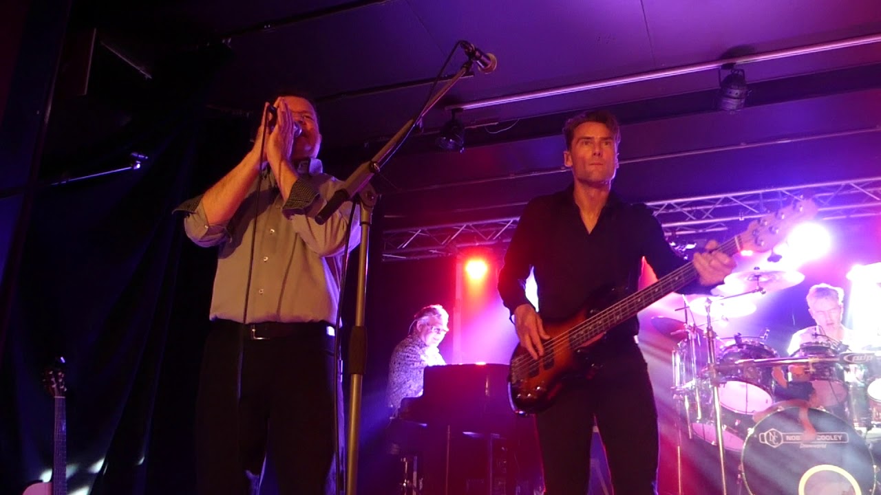 Tribute To The Cats Band / Turn around and start again. - YouTube