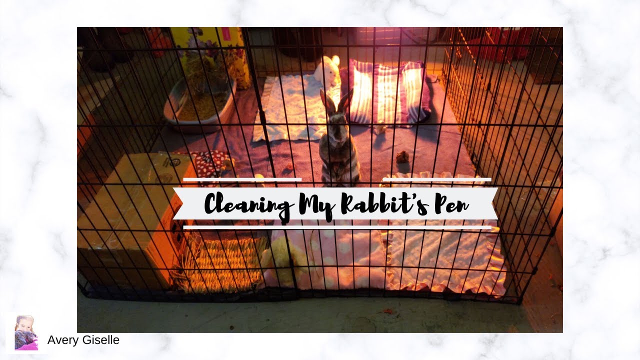 Cleaning My Rabbit's Pen | Satisfying Time Lapse - YouTube