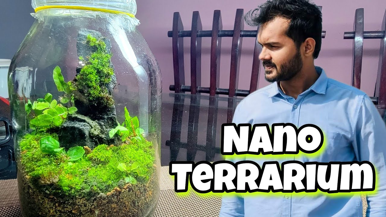 New Native Terrarium Build 🌿 Easy to Make | ঘরে বসে বানিয়ে নিন - YouTube