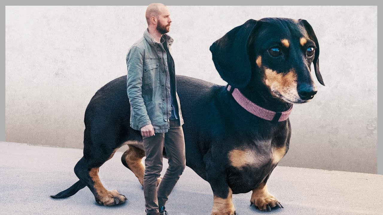 HOW IS THIS REAL!? | Real or Fake Challenge - YouTube