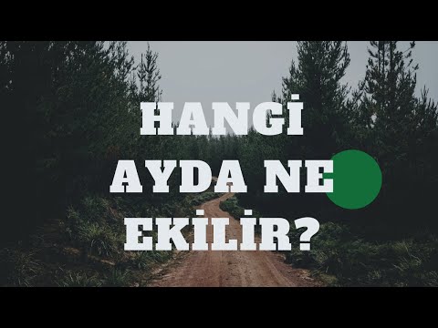 Hangi Ayda Ne Ekilir? Her Ay İçin Ekim Rehberi
