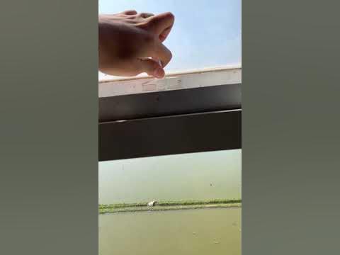 How to open window - YouTube