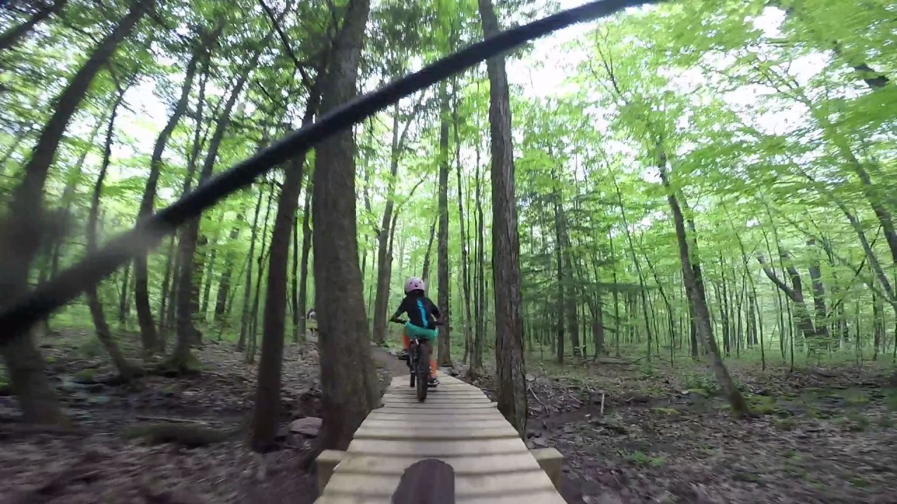 Elm Ridge Wild Forest Trails - YouTube