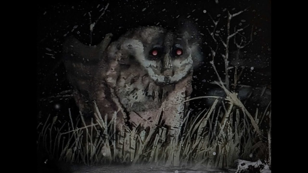 #WeirdBirds (Part Three) by Archesuchus - The Full Twitter Story - YouTube