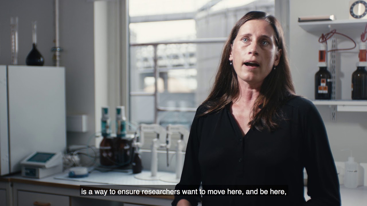 FRAMTIDENS BIORAFFINADERI RISE Processum ( Eng text) - YouTube