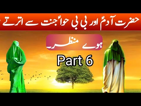 "hazrat adam","adam as","prophet adam","islamic insight","islam ...
