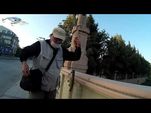 Eskişehir Porsuk Çayı Kasna Avı (Chub Fishing) - 65