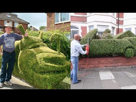 Top Unique Hedge And Topiary In The Word | Interesting Things - YouTube