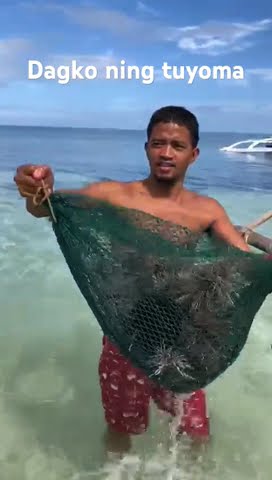 tuyom please follow and subscribe 🙂#fyp - YouTube