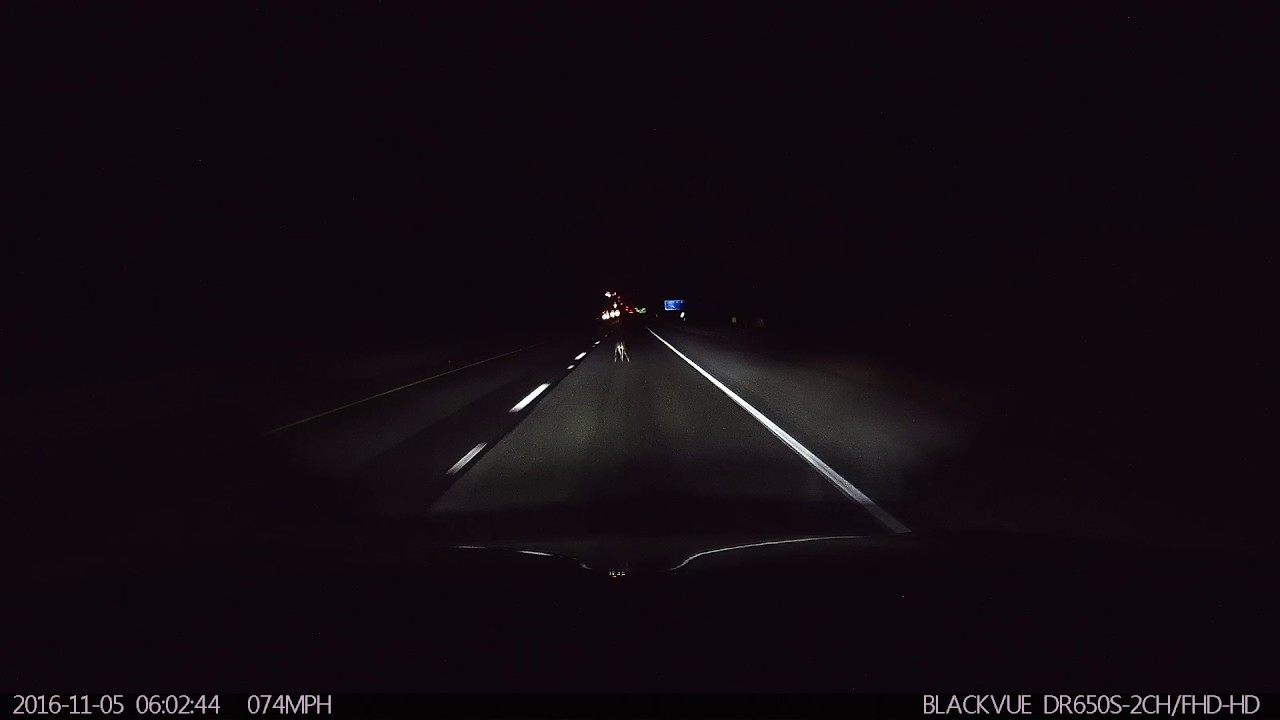 Tesla Model X hits a deer while using AutoPilot - YouTube