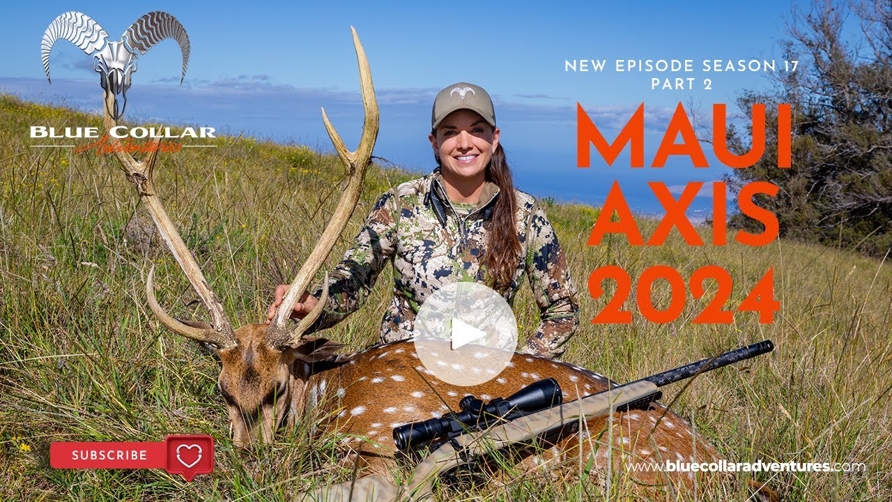 Maui Axis Part 2- S17 Ep 3 - YouTube