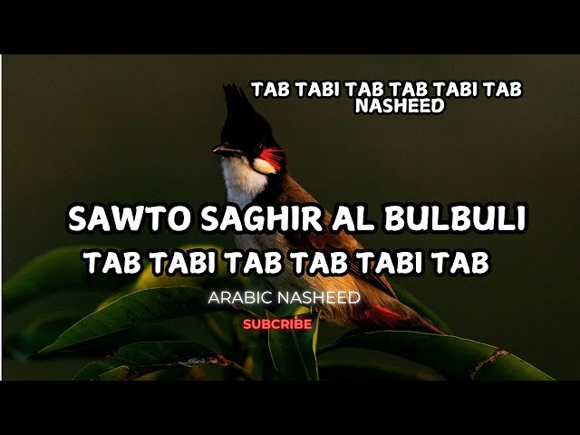 Tabtabitabtabtabitab Song Lyrics – Sawto Saghir Al Bulbuli | LyricsREAD