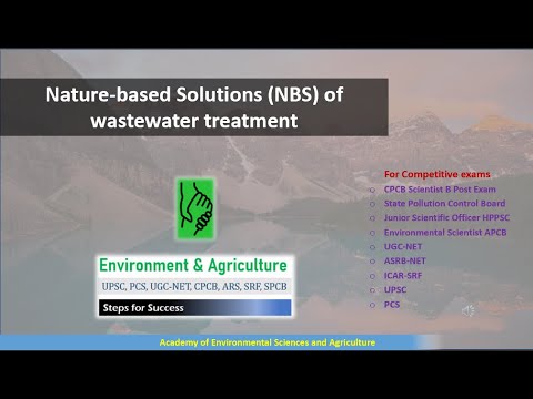 Nature-based Solution (NBS) of wastewater treatment I Constructed ...
