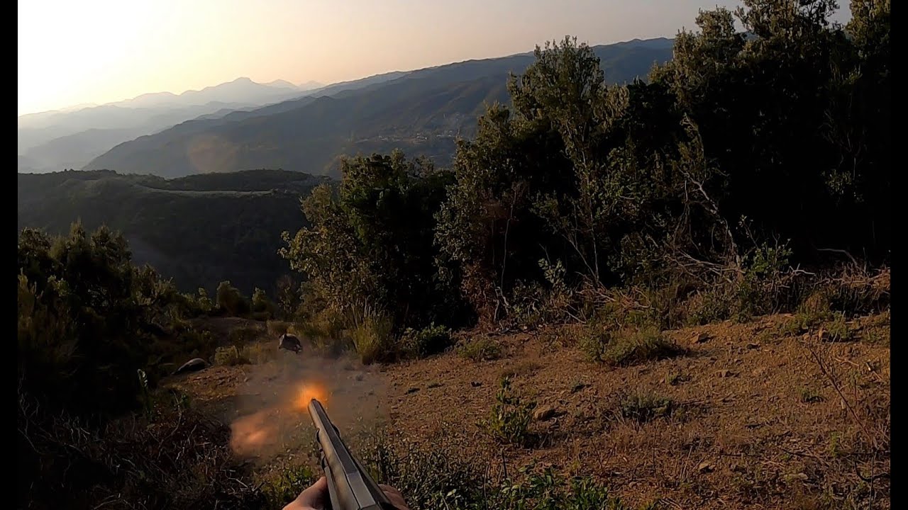 ΚΥΝΗΓΙ ΑΓΡΙΟΓΟΥΡΟΥΝΟΥ ΣΤΗΝ ΑΡΤΑ (1) 2020-2021 🇬🇷 WILDBOAR HUNTING DOMUZ ...