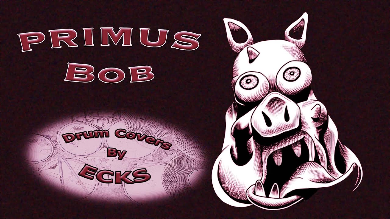 Primus - Bob - Drum Cover - YouTube