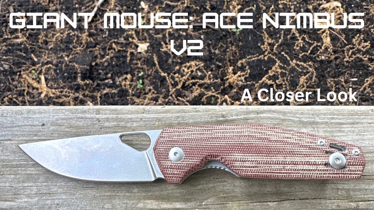 A Closer Look: Giant Mouse Ace Nimbus V2 - YouTube