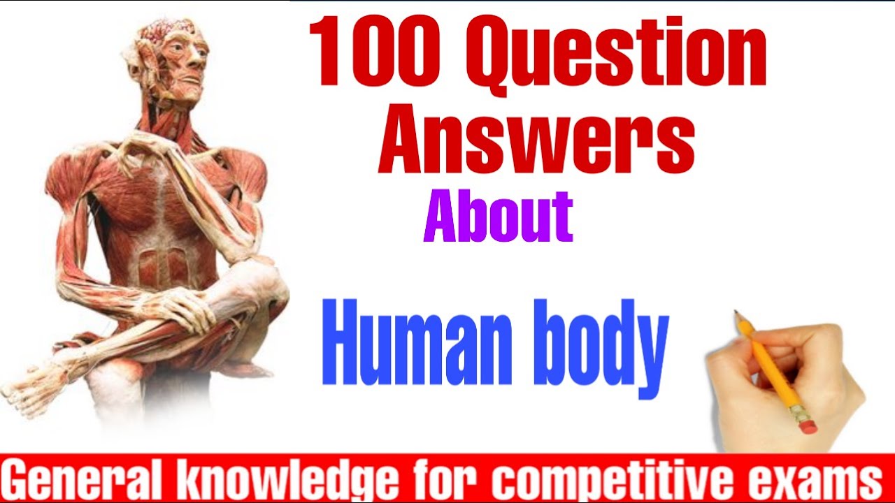 Human Body Related Questions Answers YouTube human-body-related-questions-answers-youtube