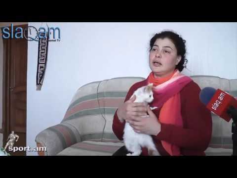 «Վանա կատվի Լեգենդը Վանից` Հայաստան»