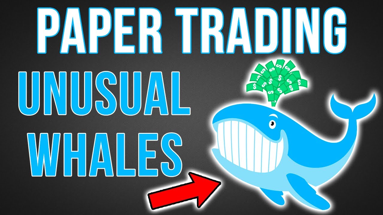 Unusual Whales Paper Trading Tutorial - YouTube
