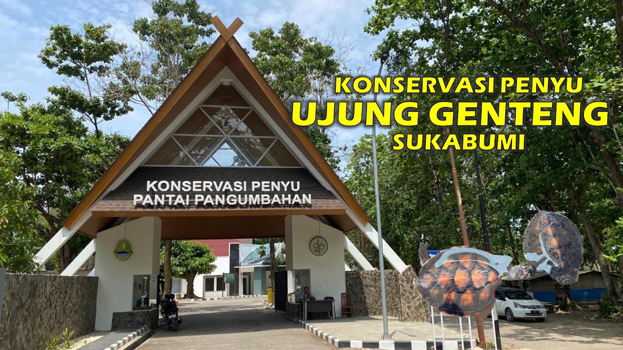 KONSERVASI PENYU | Pantai Pangumbahan Ujung Genteng Sukabumi - YouTube