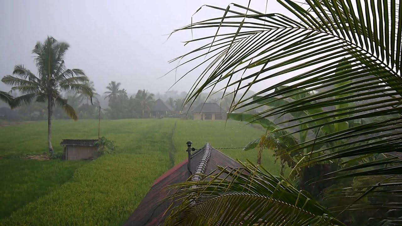 Bali, Rain - YouTube