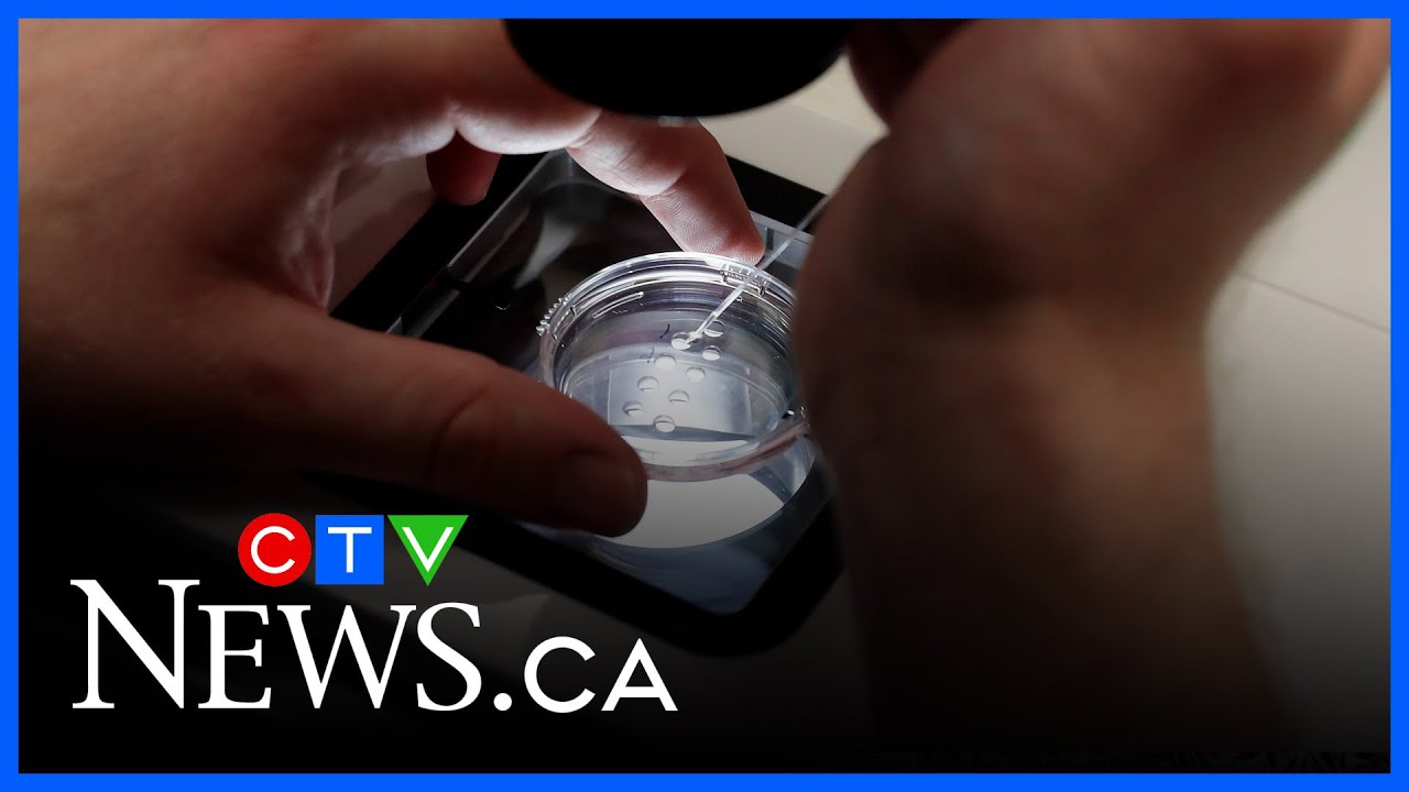 Three-person IVF trial ‘will change the lives’ of women impacted by ...